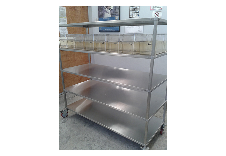 Circulo ADN | Equipo de uso veterinario para Bioterio | Animales de ...